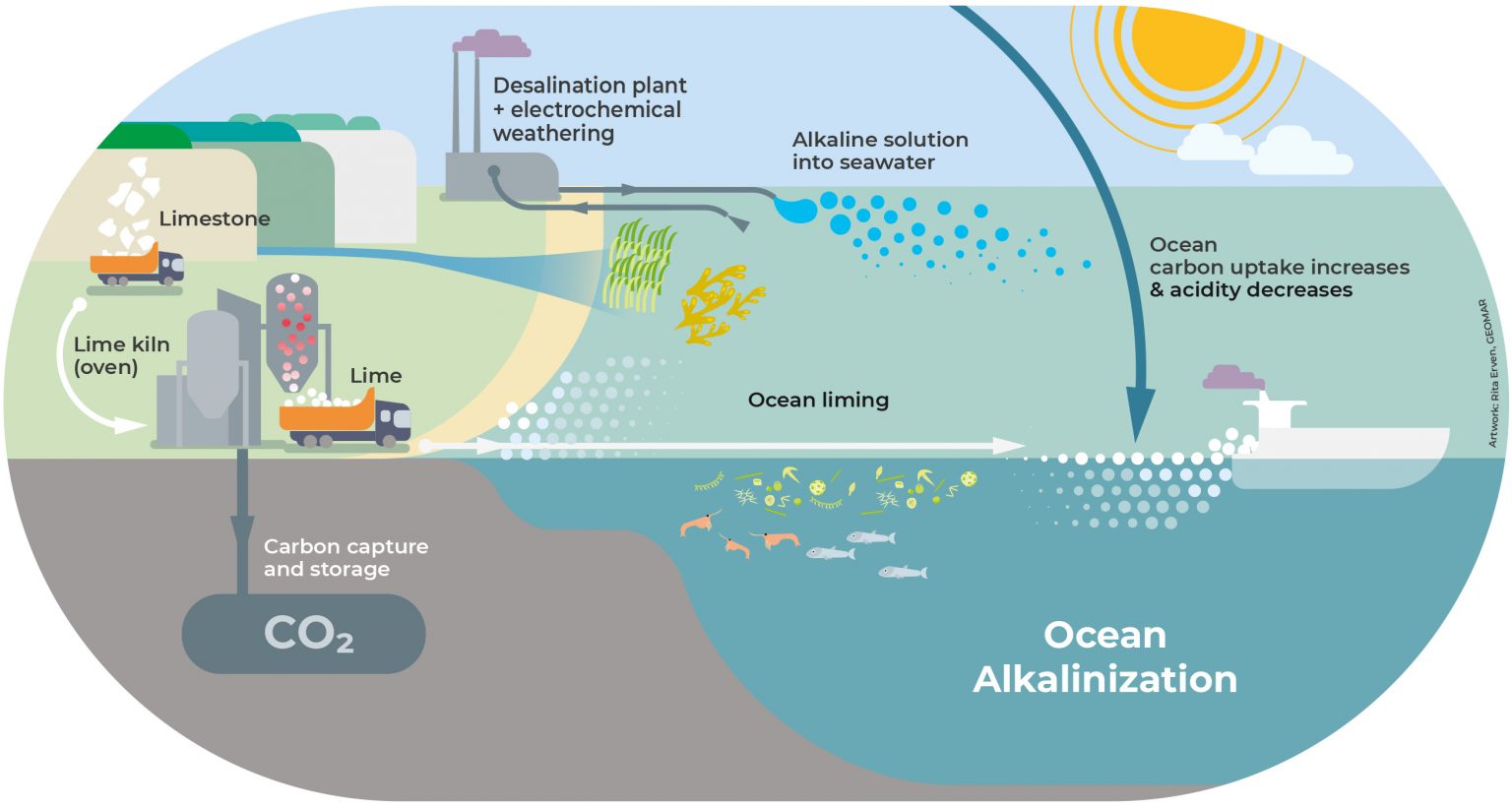 Ocean alkalinization – OceanNETs
