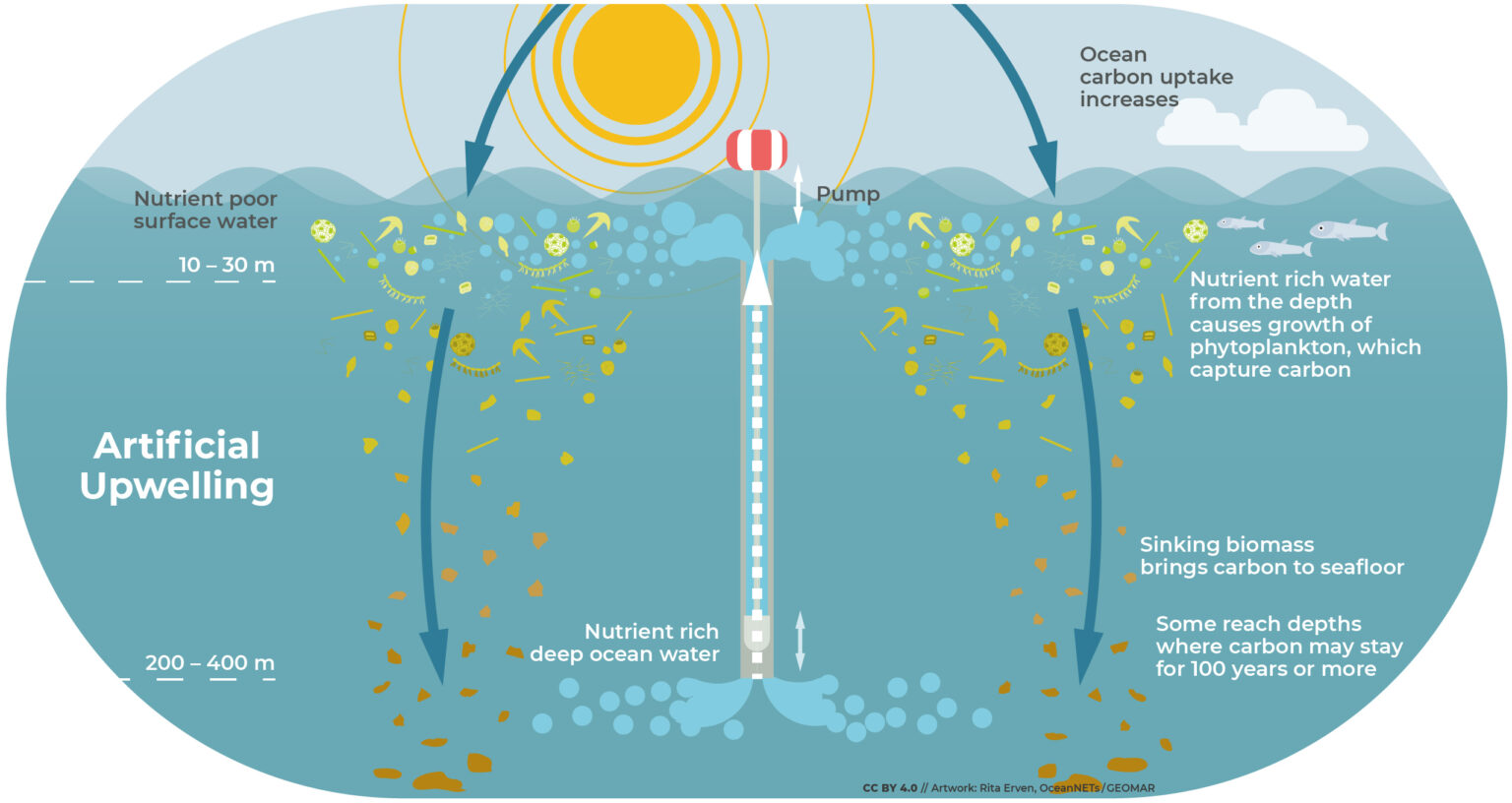 Artificial upwelling – OceanNETs